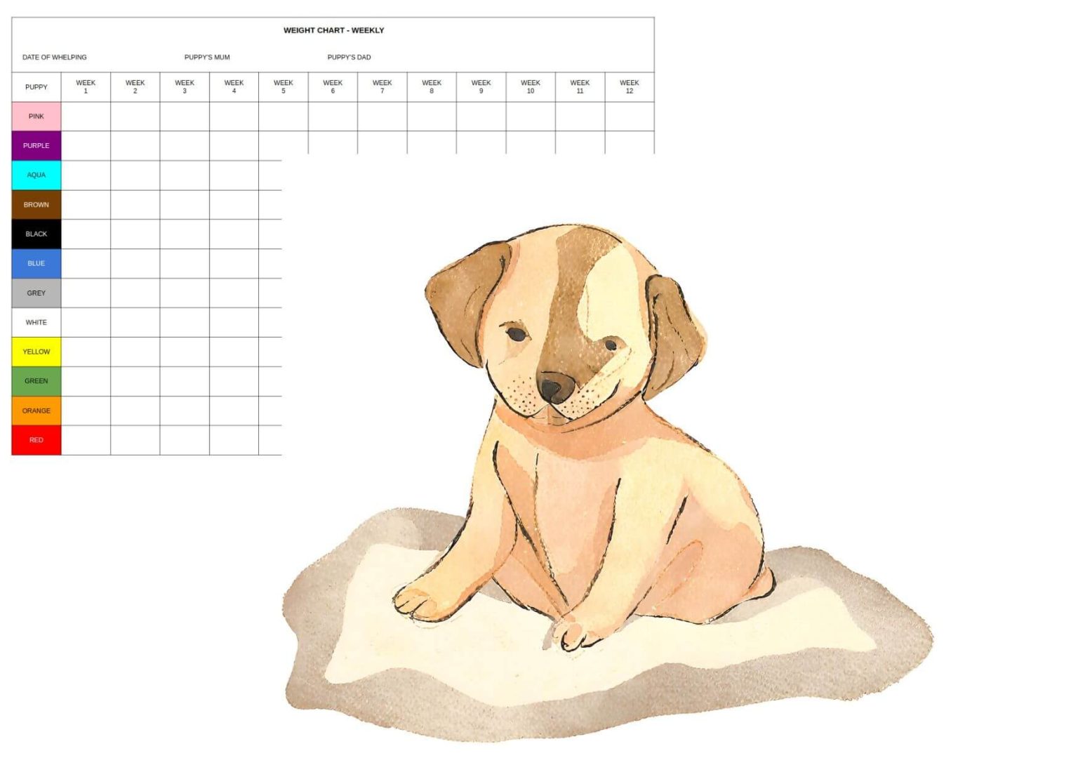 Puppy Care 101: Your Ultimate Guide To Newborn Health Monitoring